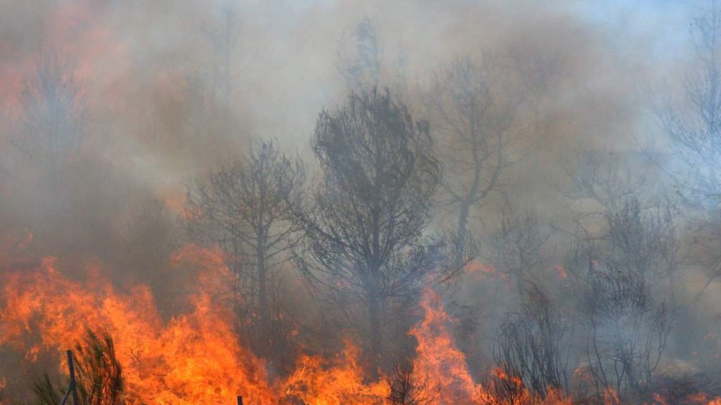 Sailor’s Flare Sparks Massive Fire on Santa Rosa Island | Eyekon Radio FM